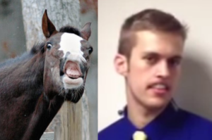 The Flehmen Response – kimcampion.com
